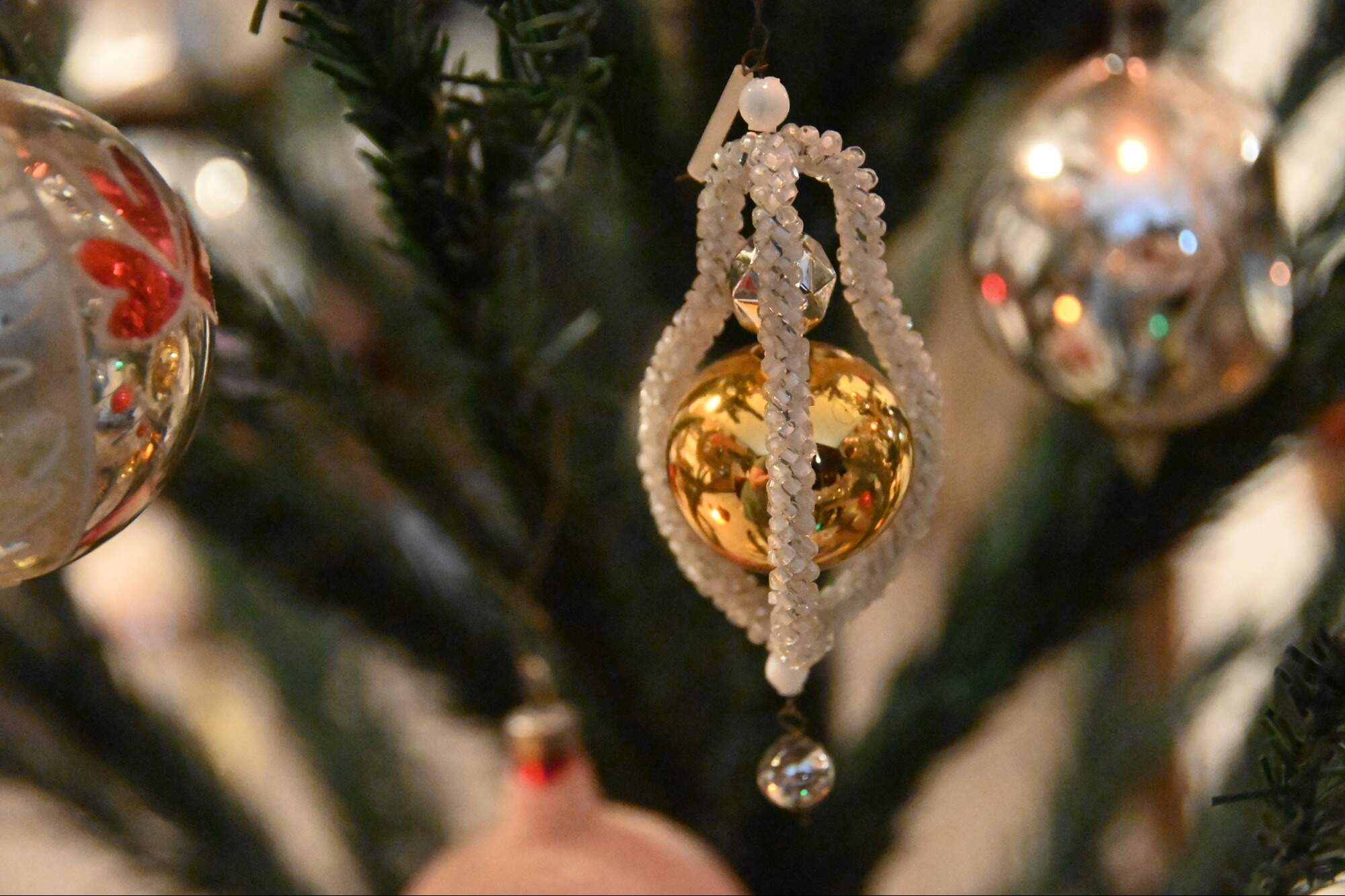 240118 rodina – Jaroslava Jelínková – album na Rajčeti